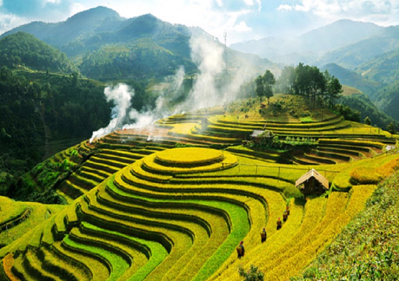 Pengertian Dataran Tinggi Beserta Ciri-Ciri dan Contoh Sumber Daya Alamnya