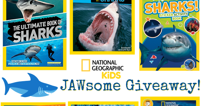 The Mommy Island: Explore The JAWsome World Of Sharks With National ...