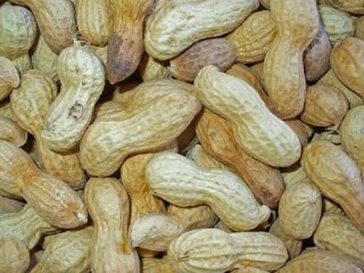 11 Manfaat Kacang Tanah Untuk Kesehatan Dan Kecantikan Ilmufad