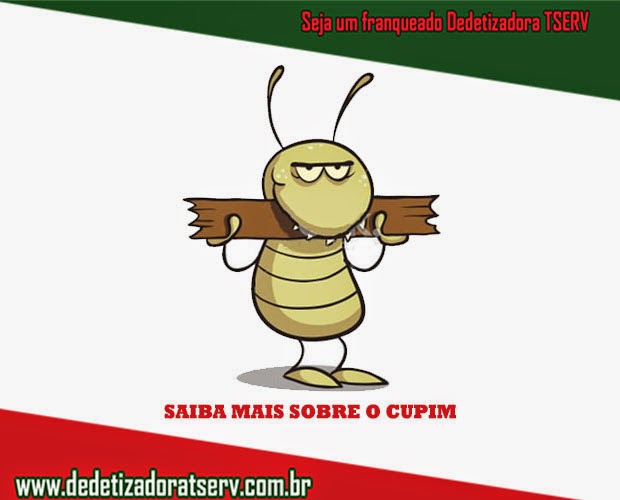 FRANQUEADORA TSERV - RUMO A EUROPA: SAIBA MAIS SOBRE O CUPIM