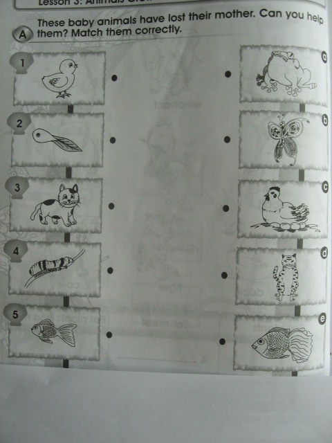 SCIENCE YEAR 2: Worksheets