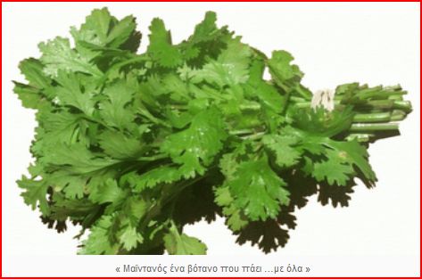 ALEX WEB RADIO/TV: Twitty...o μαιντανος των media