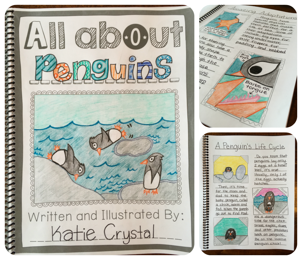 Crystal's Classroom: My Animal Research Project