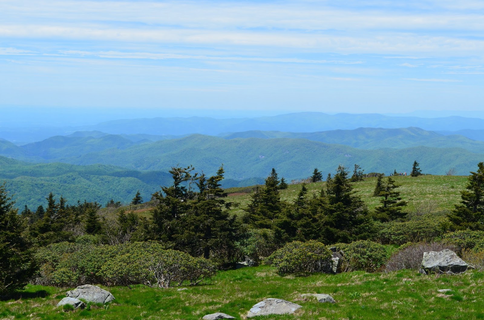 Mac Alasdair: Grassy Ridge in the Roan Highlands