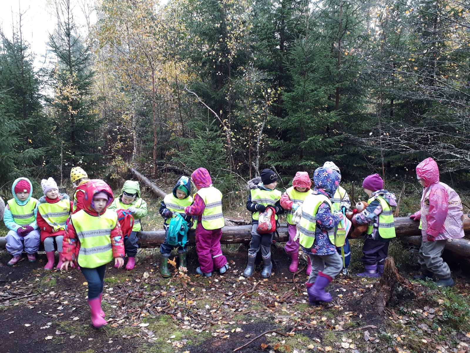 Roheline Kool Eestis Tallinna Tuule Lasteaed: Lapsed Tädu metsas