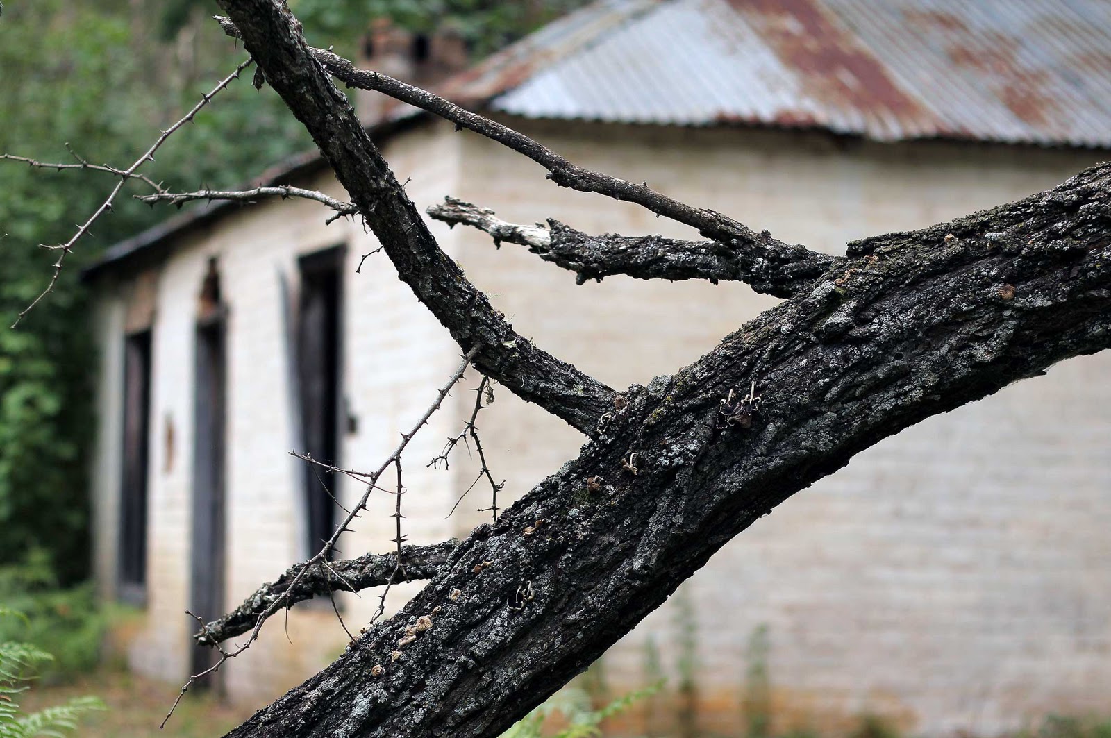 Rare Australian Places: Joadja - Shale Oil Ghost Town