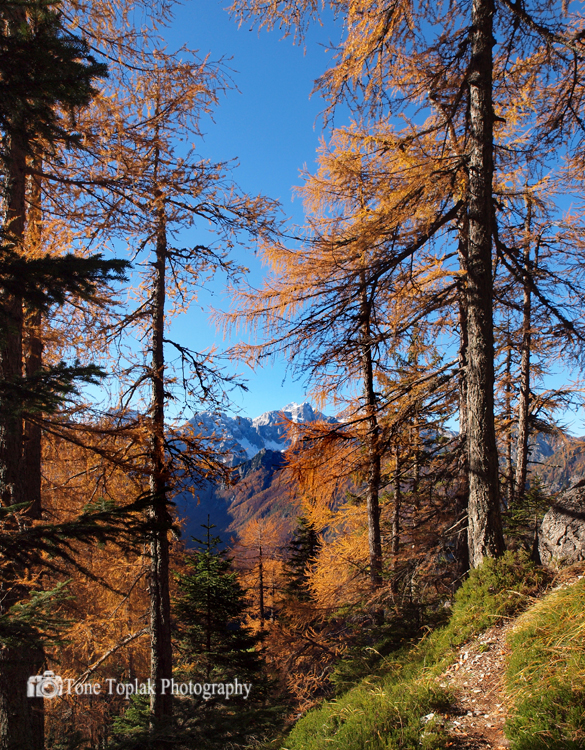 Narava hribi in gore: Icmanikova planina - Strelovec in jesenske barve