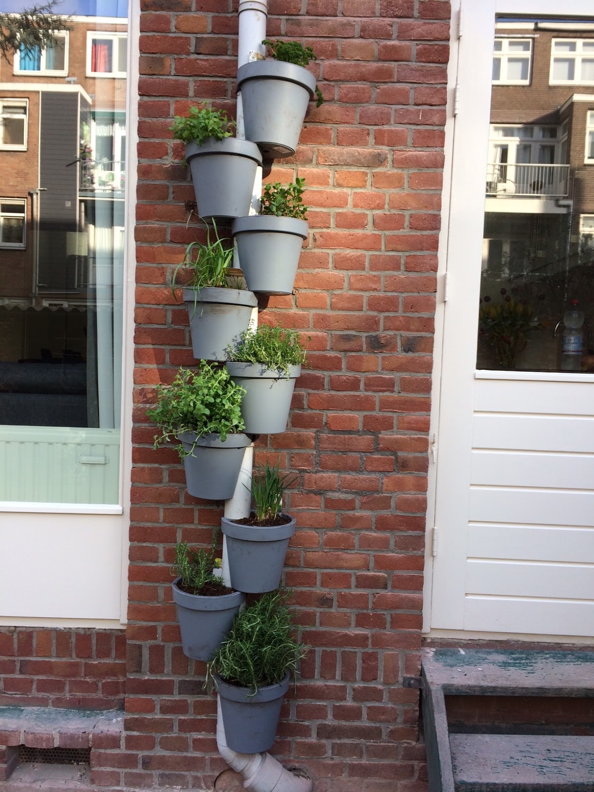 Goedkope verticale kruidentuin in stadstuin - Zuinigeman