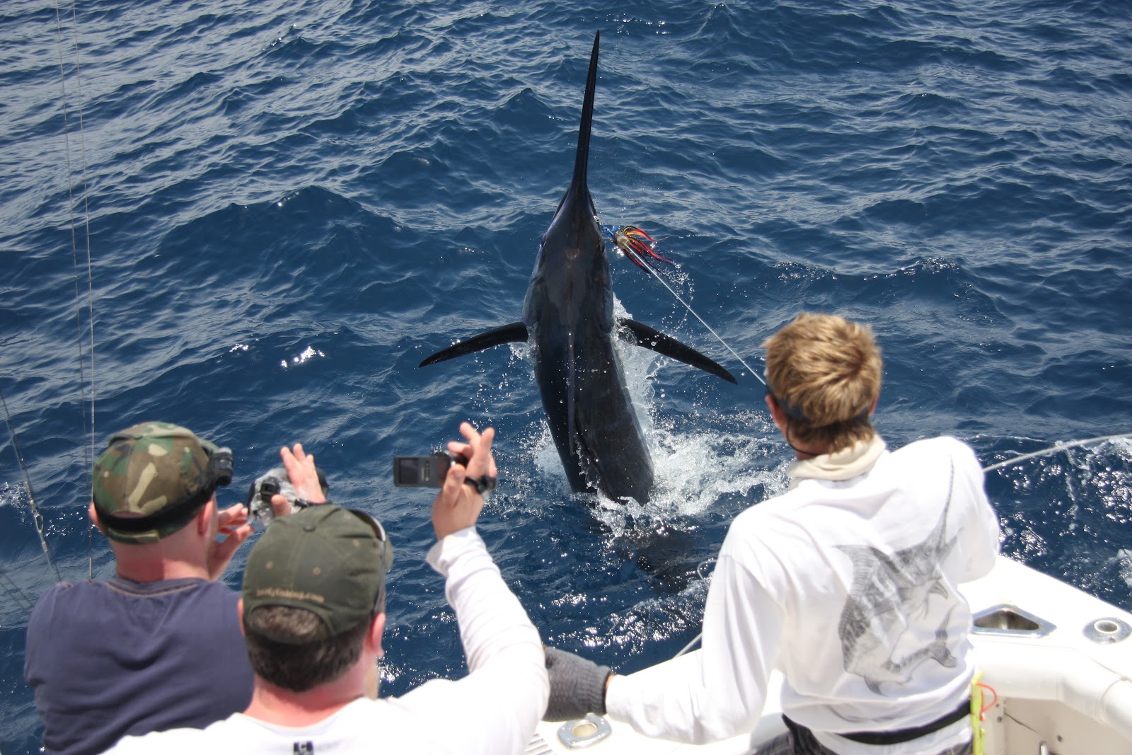 Atlantic Fishing Charter NEWS: junio 2012