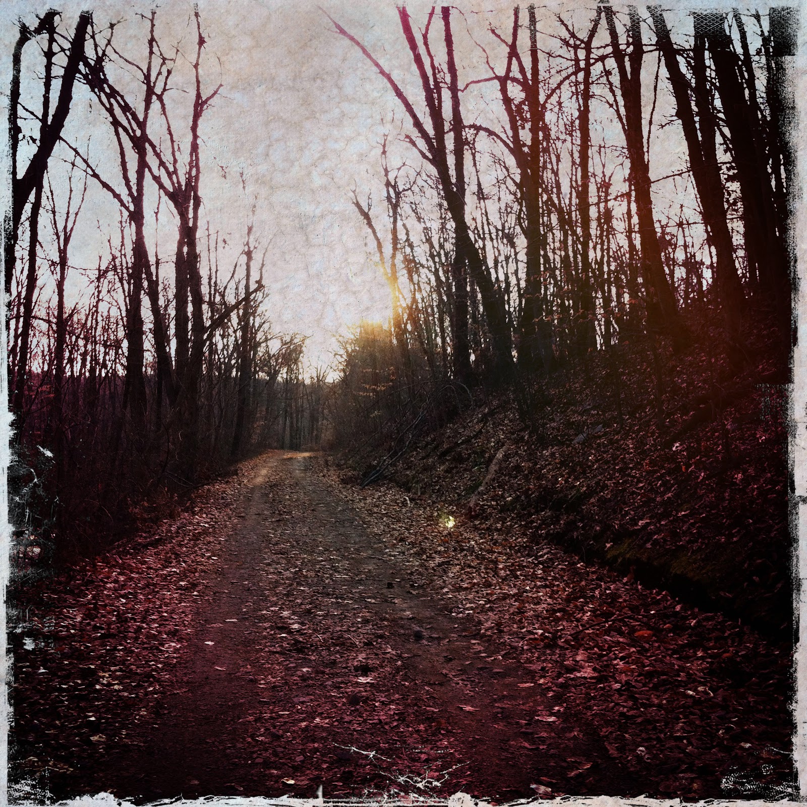 Between the By-Road and the Main Road: Quartet