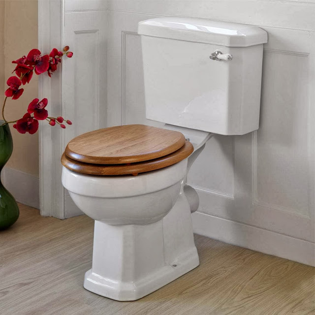 YAJUE MADHARA YA KUTUMIA CHOO CHA KUKAA