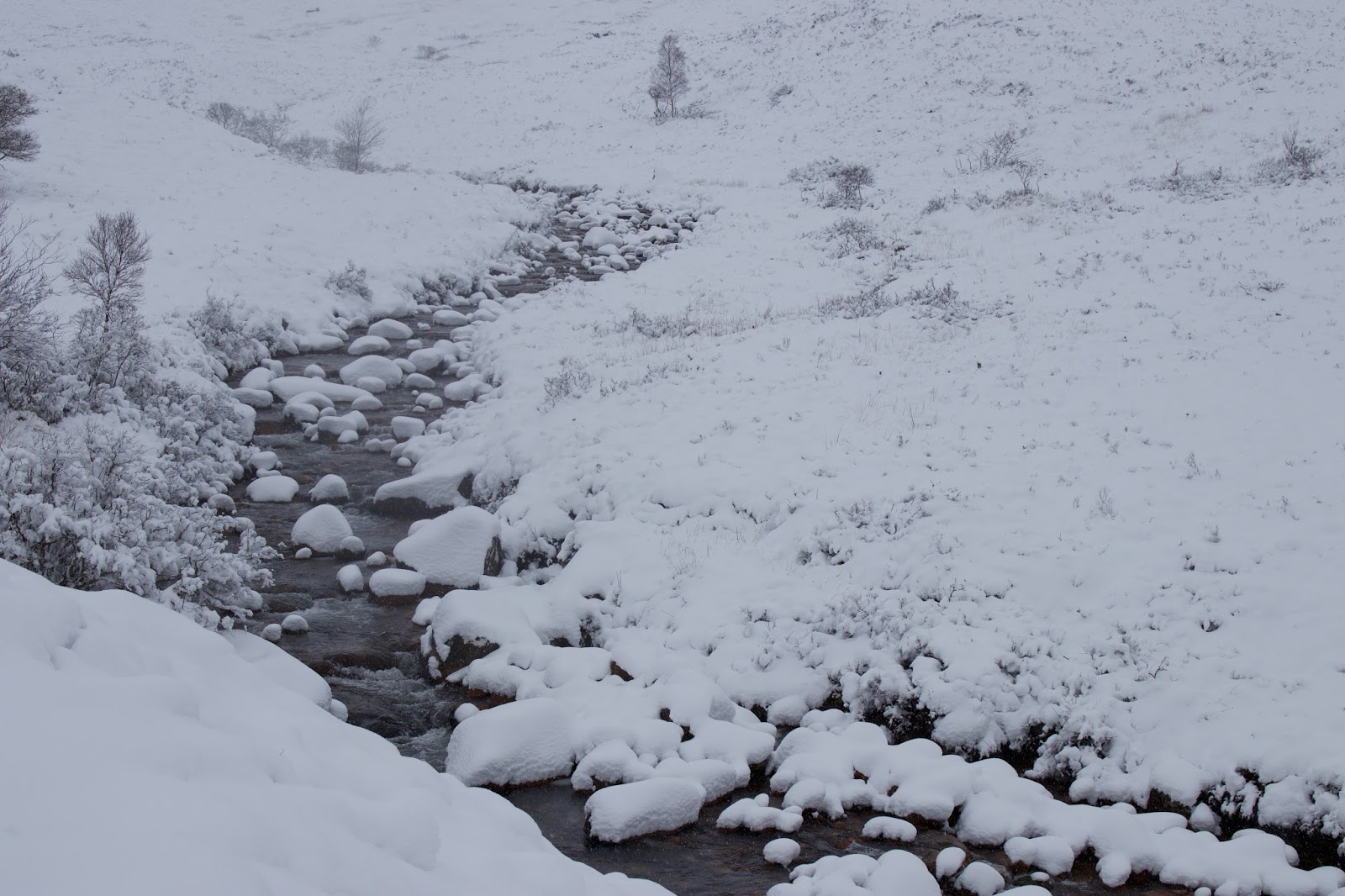 Ellis Hickson Component 2: Marcus McAdam and Brandon Seidler