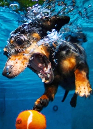 v i g o l i c i o u s: seth casteel