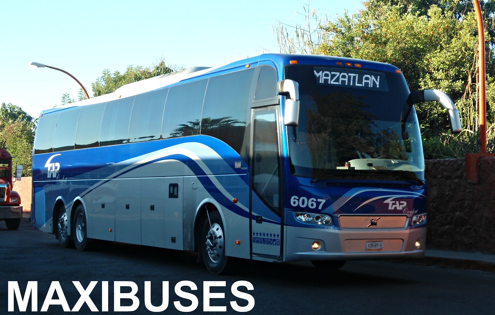 MAXIBUSES: TRANSPORTES Y AUTOBUSES DEL PACÍFICO, CONFORT (TAP CONFORT)