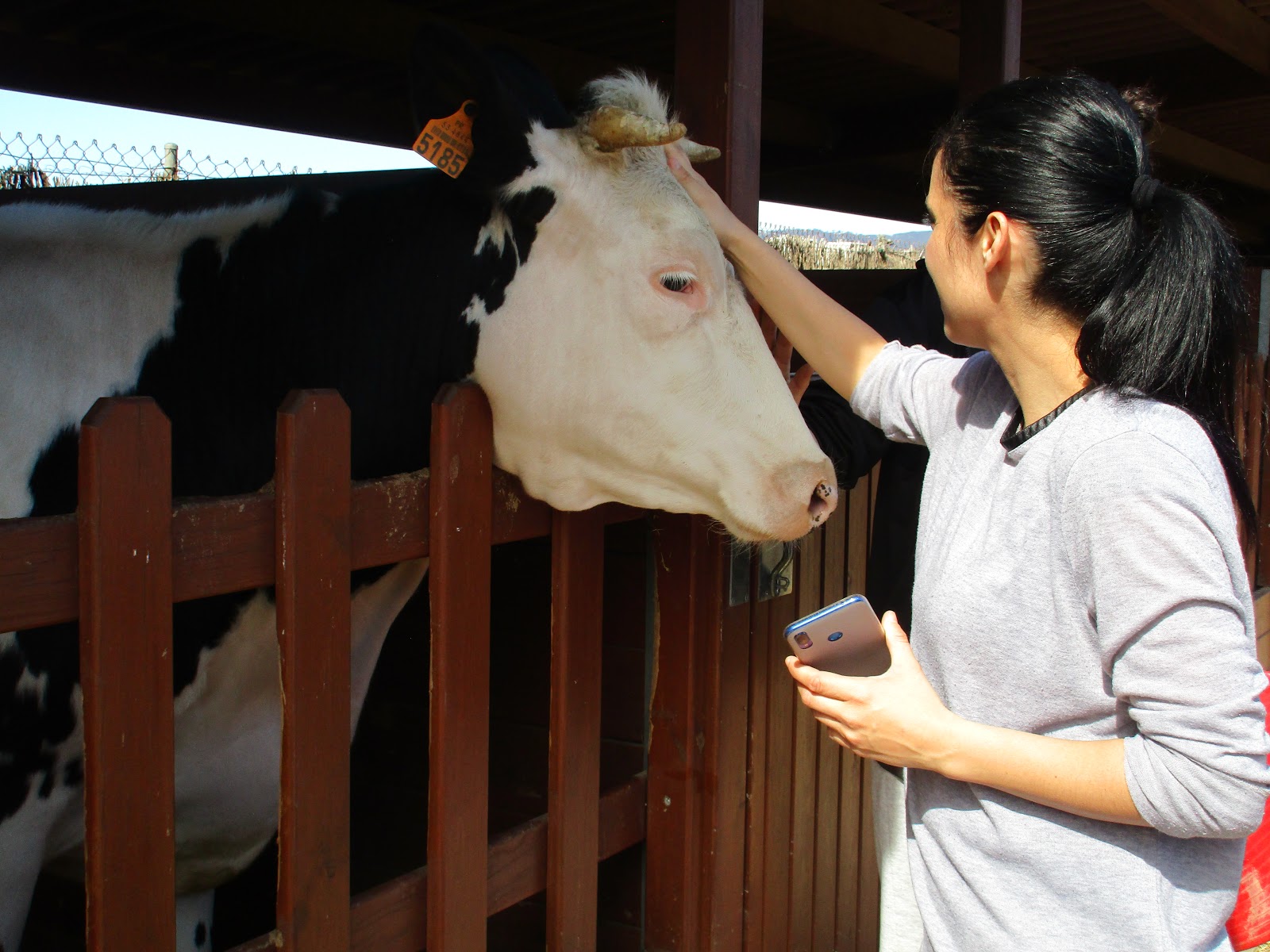 ESCOLA BRESSOL MUNICIPAL EL TRENET