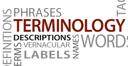 Common Terminologies Definition Used in Development Sector All Over the ...