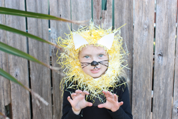 Castraveight: Kids craft DIY: paper plate lion mask