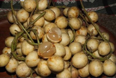 DK's Diary: Buah Unik dan Langka dari Hutan Kalimantan