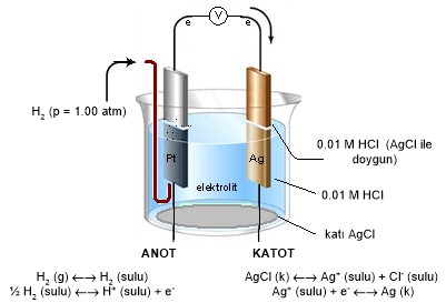 Prof. Dr. Bilsen Beşergil: Hücre ve Elektrot Potansiyelleri (cell and ...