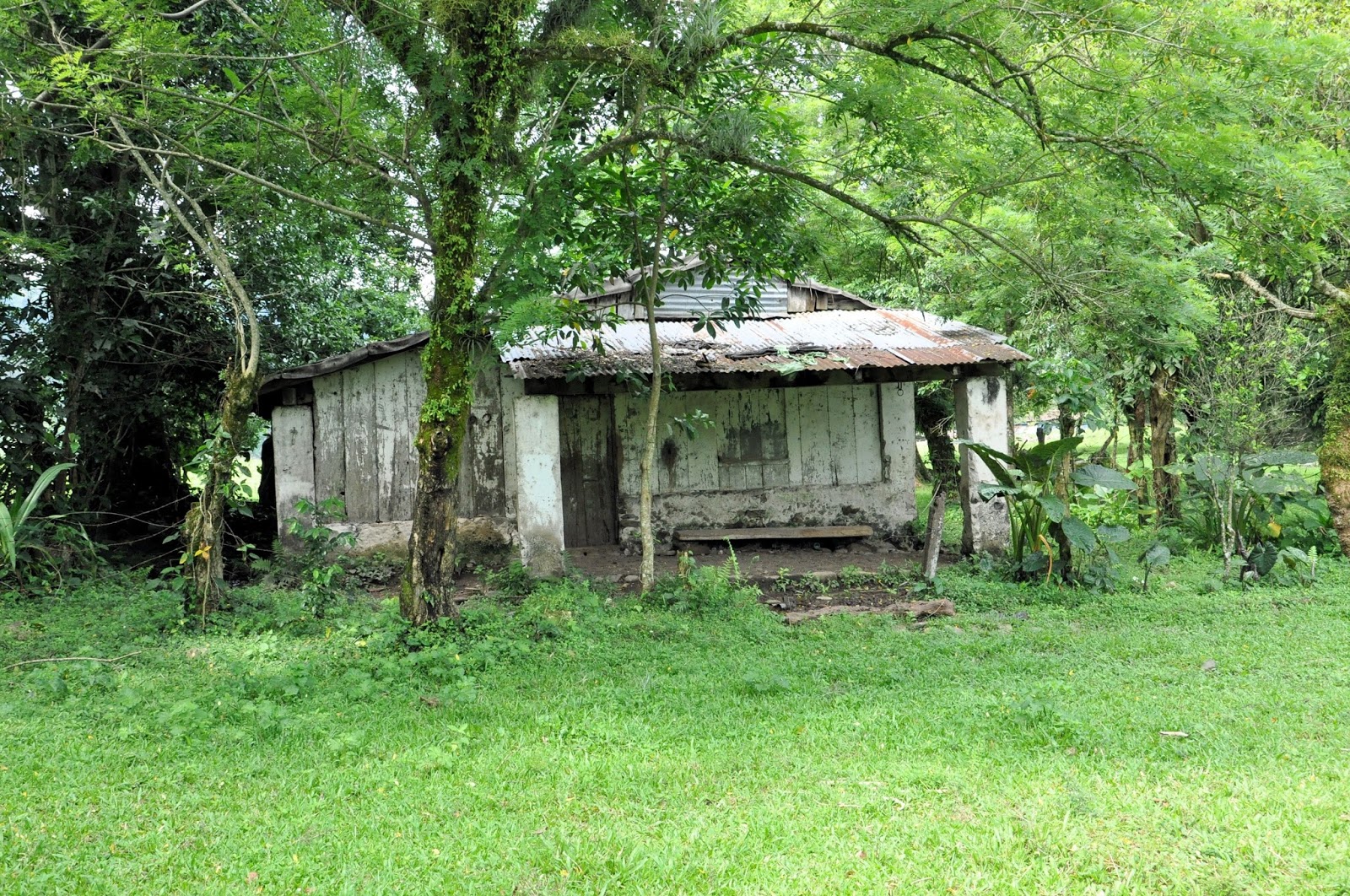 Imágene Experience: Zona Arqueológica "El Cuajilote" - Pirámides ...