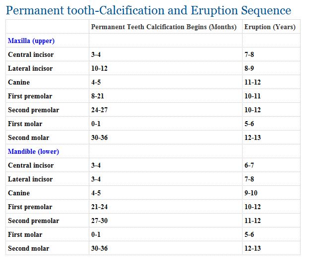Tooth Eruption Charts