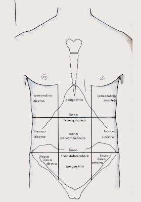 Esame obiettivo addome