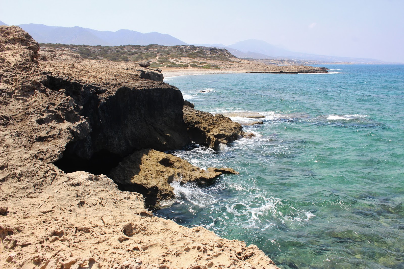 Biodiversity of Cyprus by NGO Protection of the Natural Heritage and ...