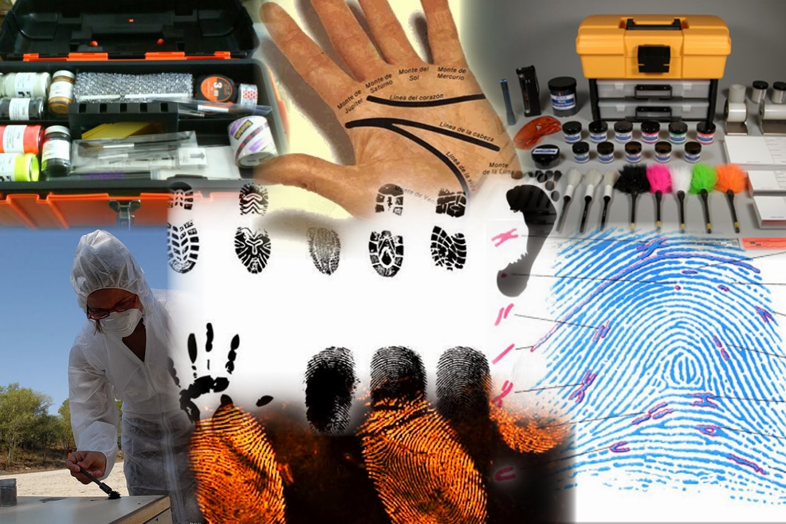 LOFOSCOPIA EN LA INVESTIGACIÓN CRIMINAL: LOFOSCOPIA