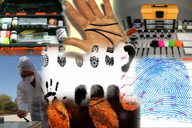 LOFOSCOPIA EN LA INVESTIGACIÓN CRIMINAL: LOFOSCOPIA