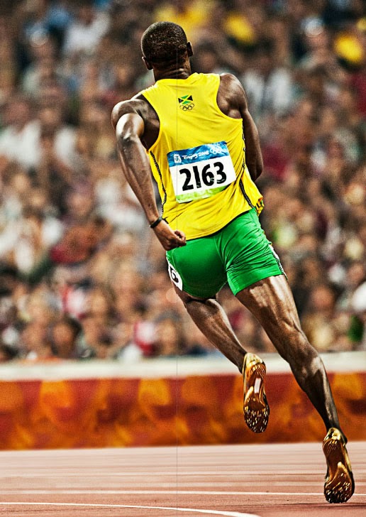 Brandon's Photography Blog.: Task 1 Bob Martin Photography