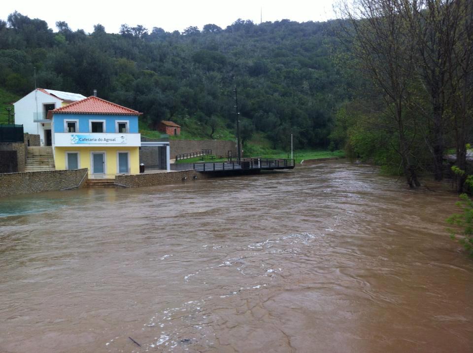 Tomar na Rede: Algumas das melhores fotos das cheias