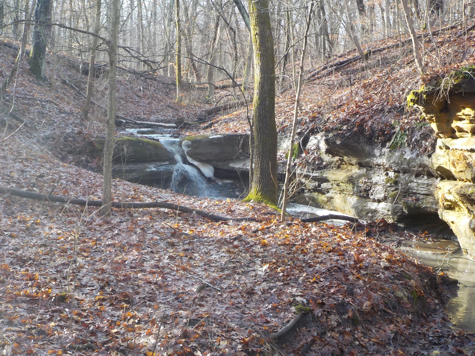 Hike Starved Rock: St. Louis, Kickapoo, Sac and Aurora Canyons March 14 ...