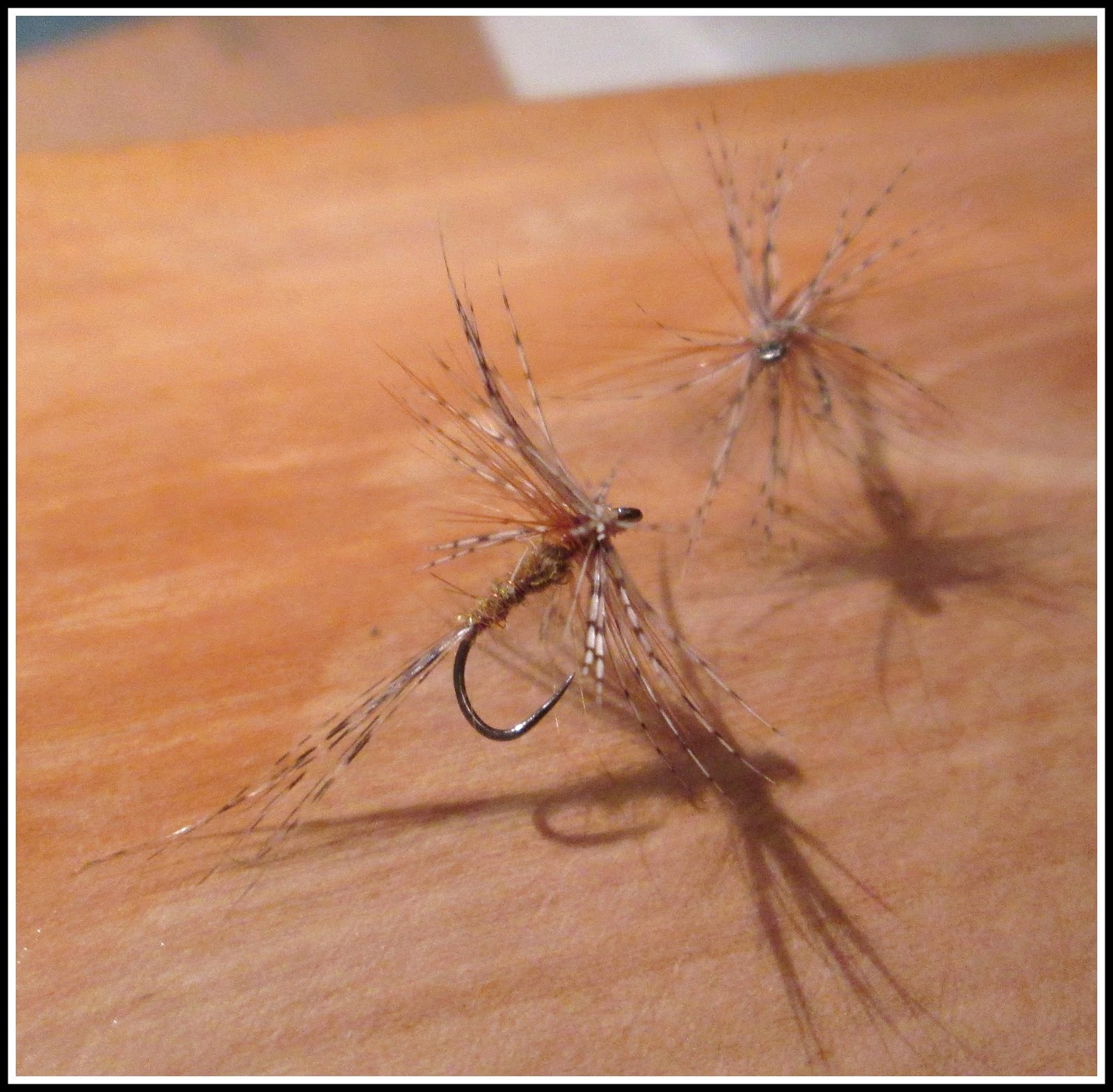 The Flee, Float & Foto: Jinglers all the Way