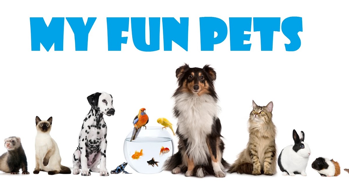 Types of domestic pets