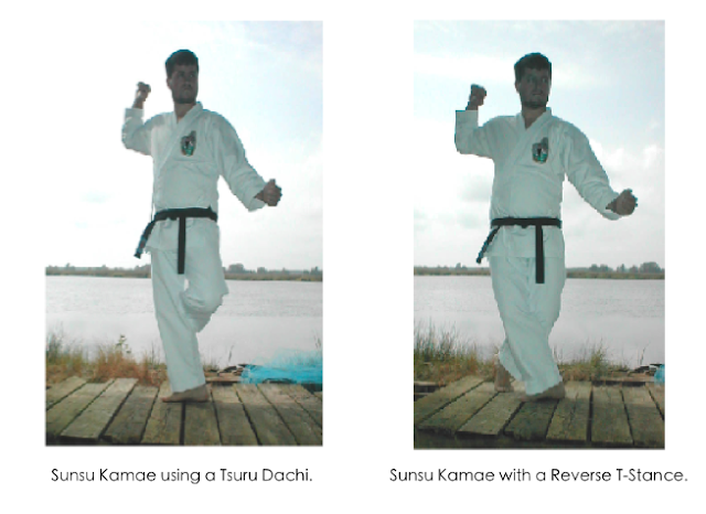Isshinryu Karatedo Kobudo: The Postures of Isshin-ryu Karate