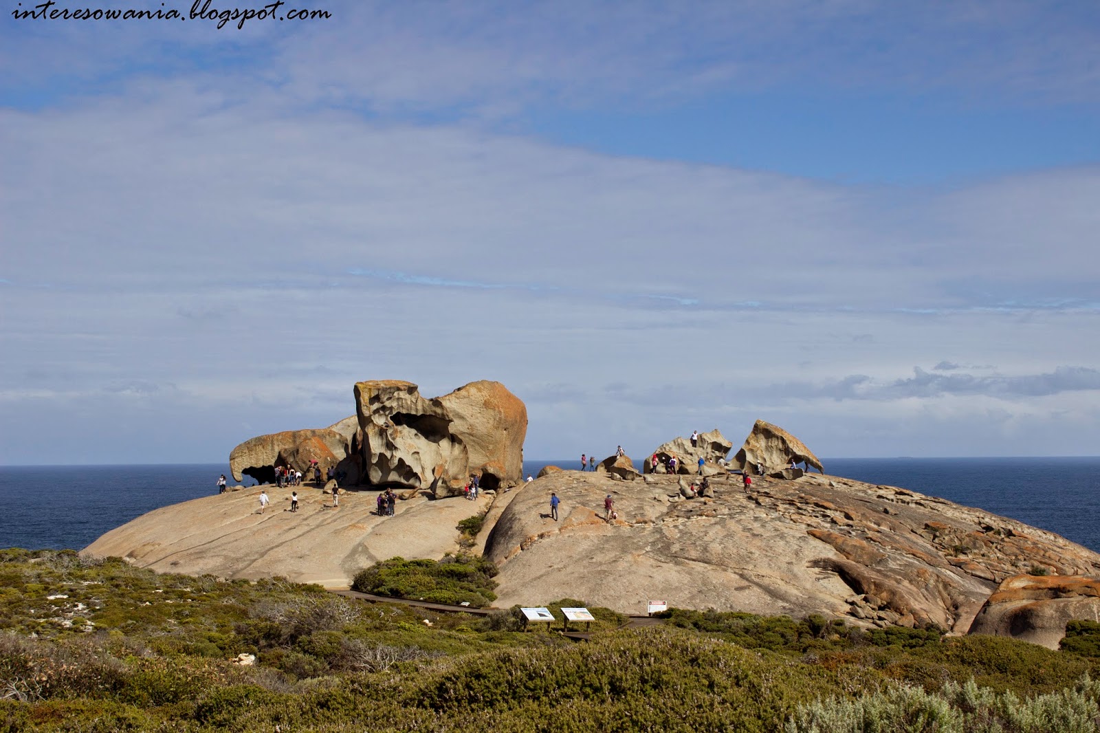 I'm interested in...: Wyspa Kangura