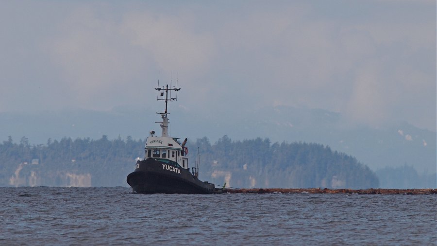 Tugboats, Tugboats, Tugboats: Yucata