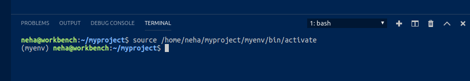 Beginner’s Guide: Setting up the virtual environment in VS Code for ...