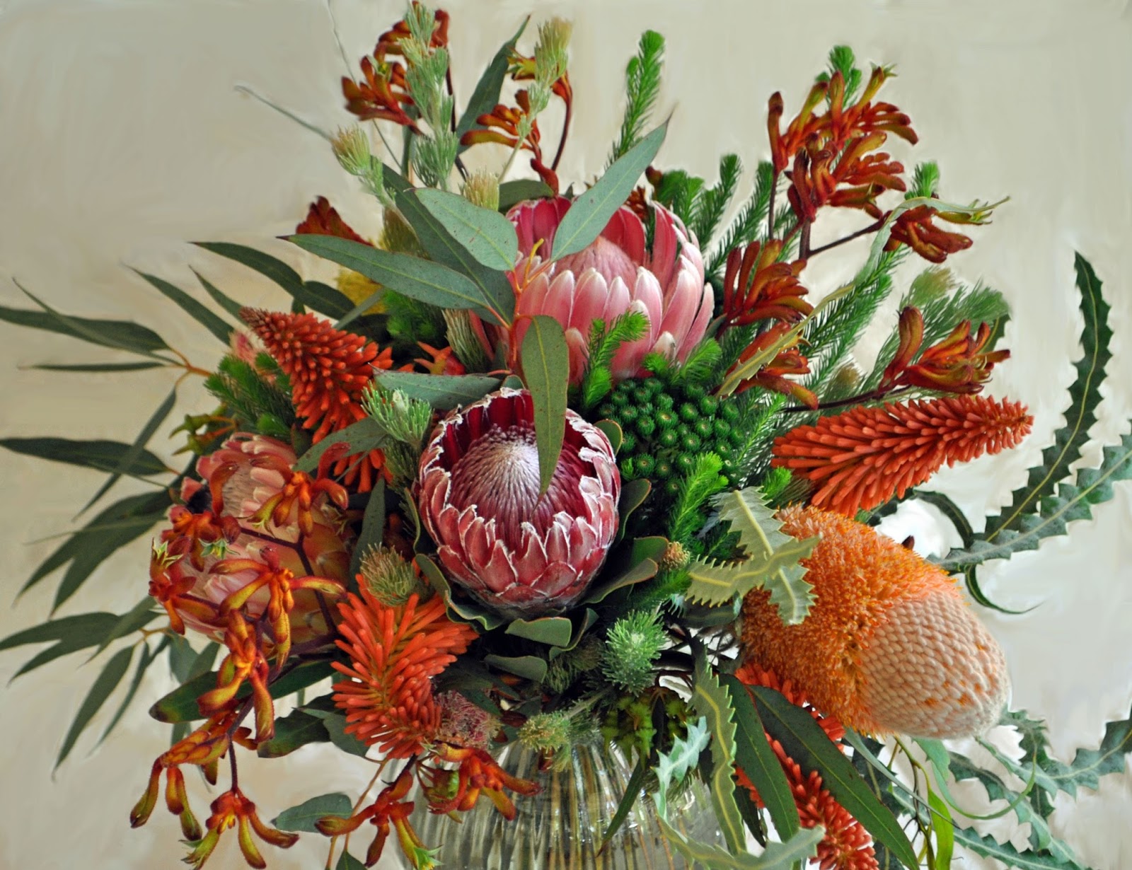 A Passion for Flowers: In the Field: Protea Red Baron