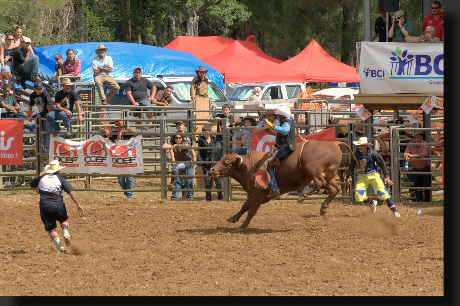 Un dimanche...: Un dimanche au rodéo de Bourail
