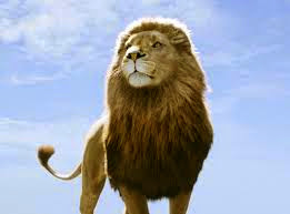 Chairs from the Curb: A Lion Named Buster