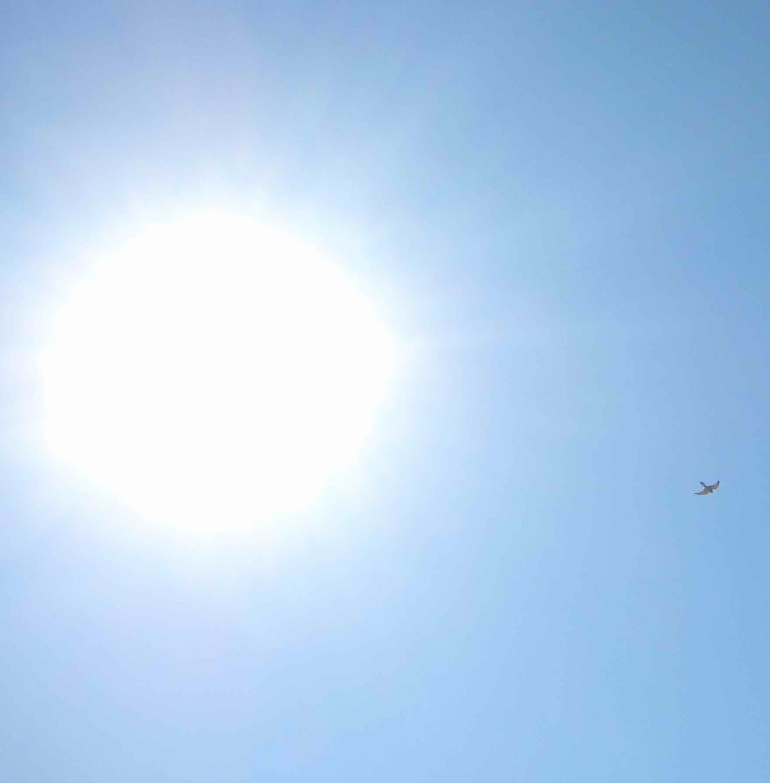 de amores y relaciones: ¡Verano, veranito y con el sol mucho cuidadito!