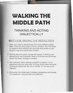 The Art of Dialectical Behavior Therapy: Walking the Middle Path