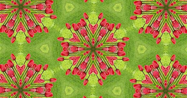 PhotoEffect: Create a Kaleidoscope Pattern in Photoshop