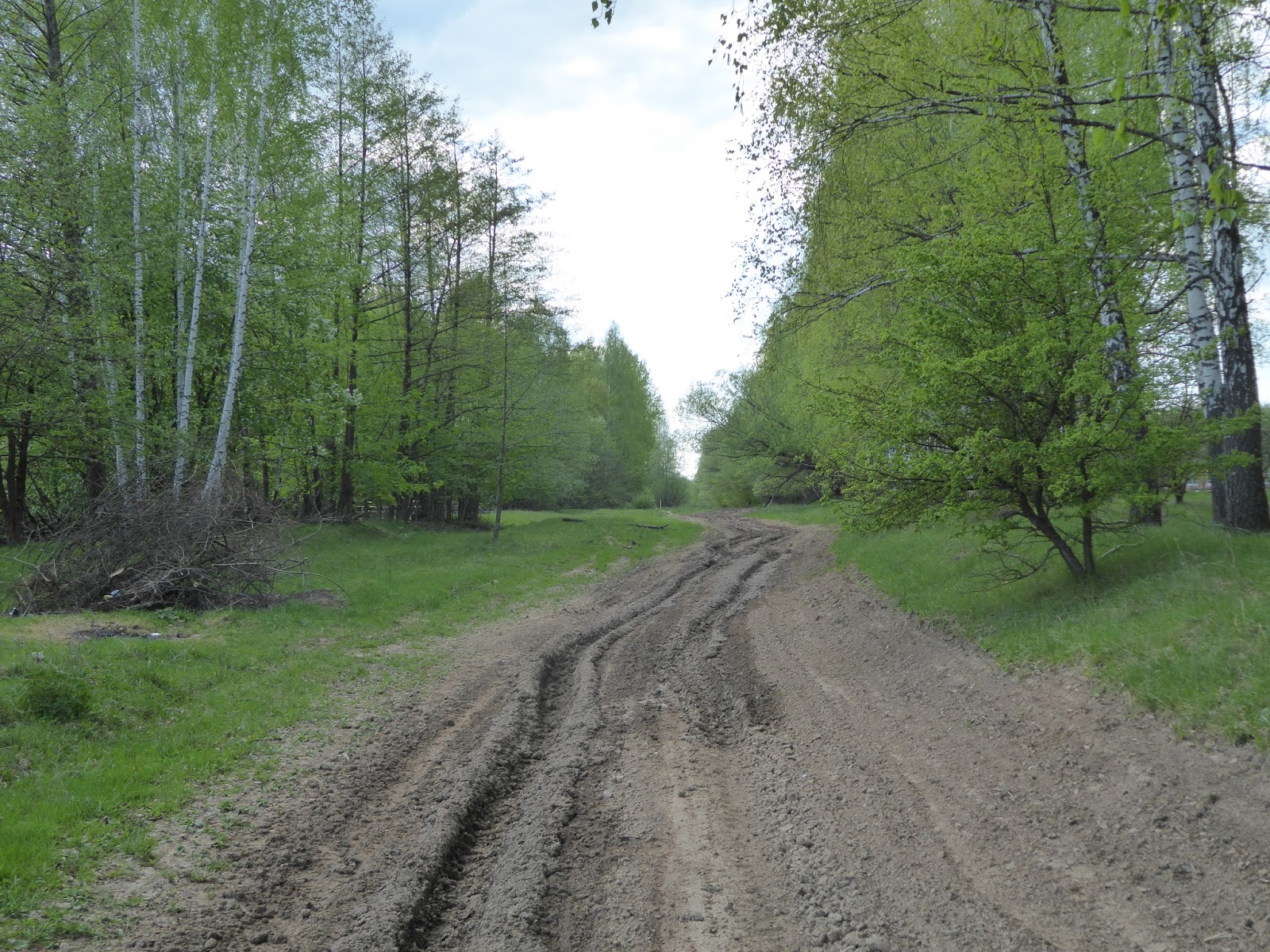 Walking the Battlefields: The Fight for Bolkhov (July 1943)