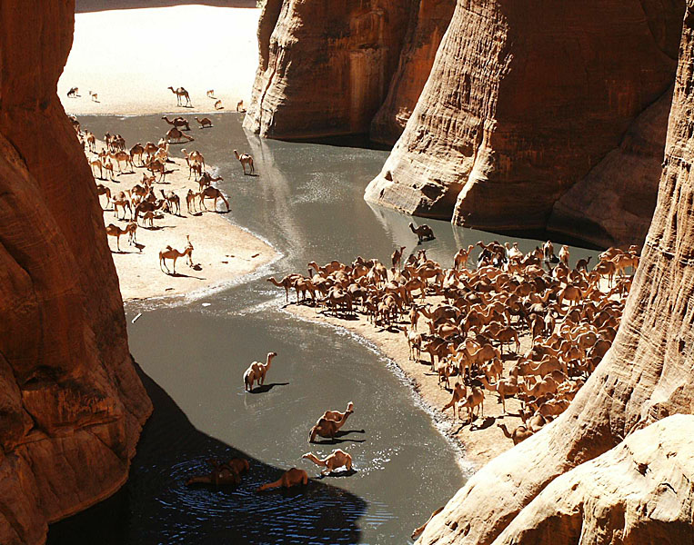 Ennedi Plateau - Sahara’s Secret Garden | NATURE OF THE WORLD