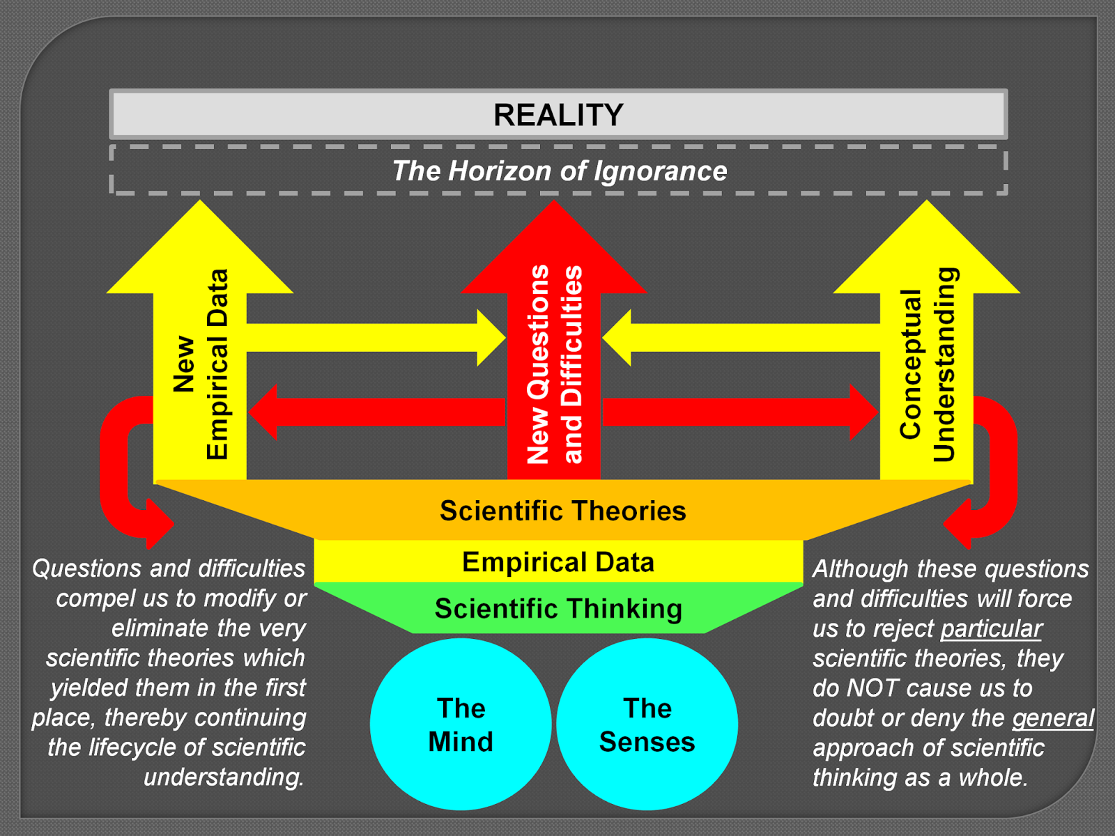 Kol ha'Seridim: A Visual Representation of Science and Torah