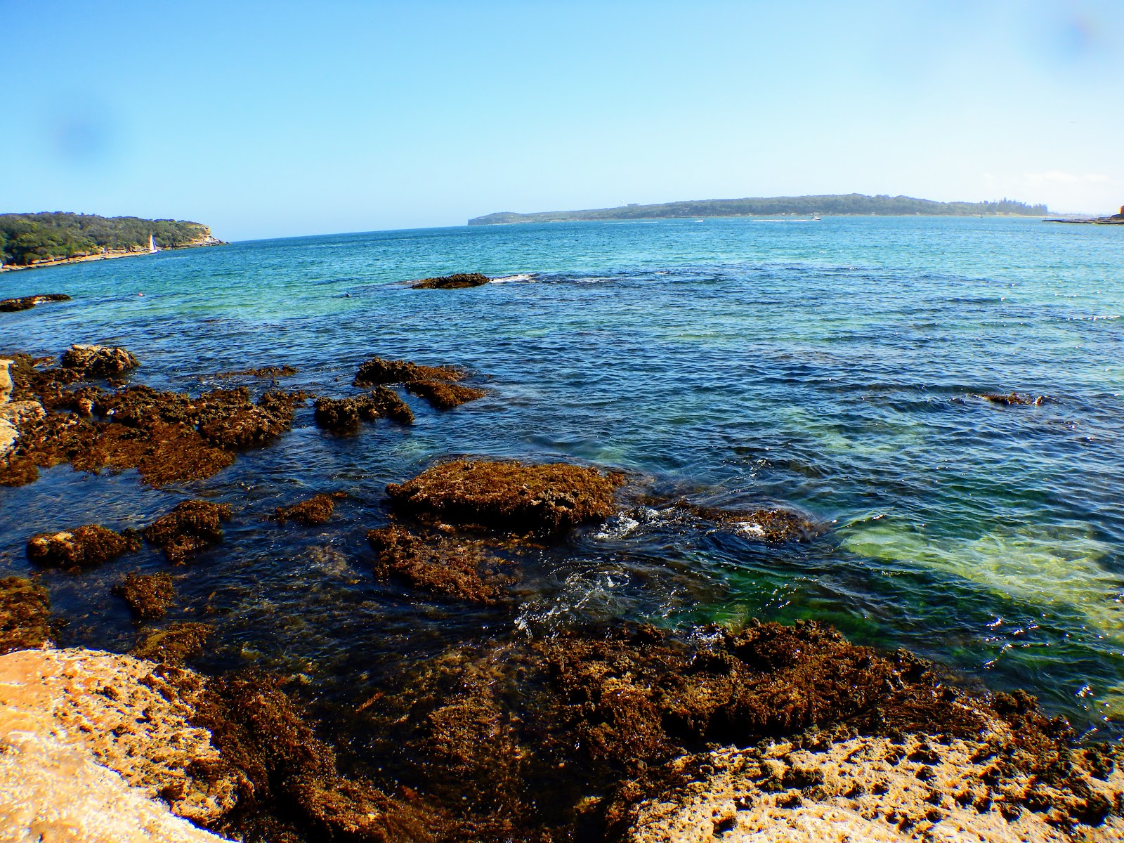 Sydney Snorkeling : Congwong Beach (La Perouse)