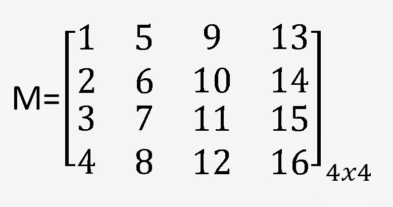 Escolinha do Dudu: Matrizes