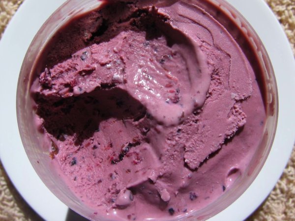 The Scratch Patch: Black Raspberry Chip Ice Cream